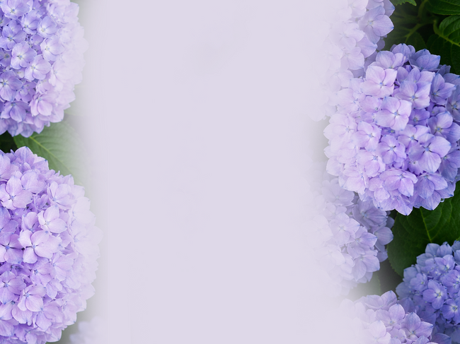 Sets & Rompers – Hey Beautiful Boutique